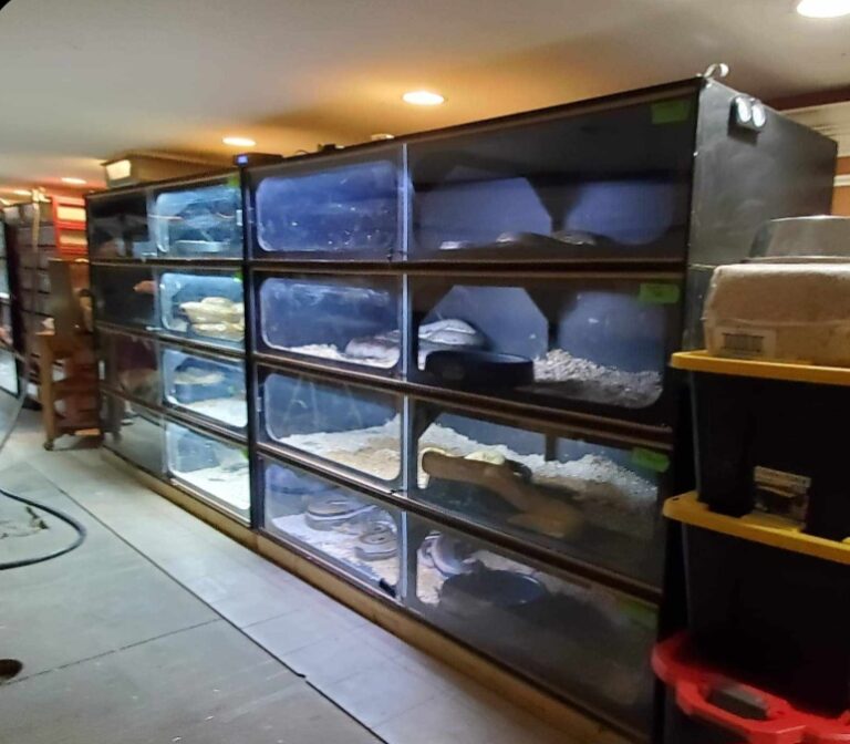 PVC Enclosures and Custom Caging | Paragon Exotics…Quality Beyond Compare